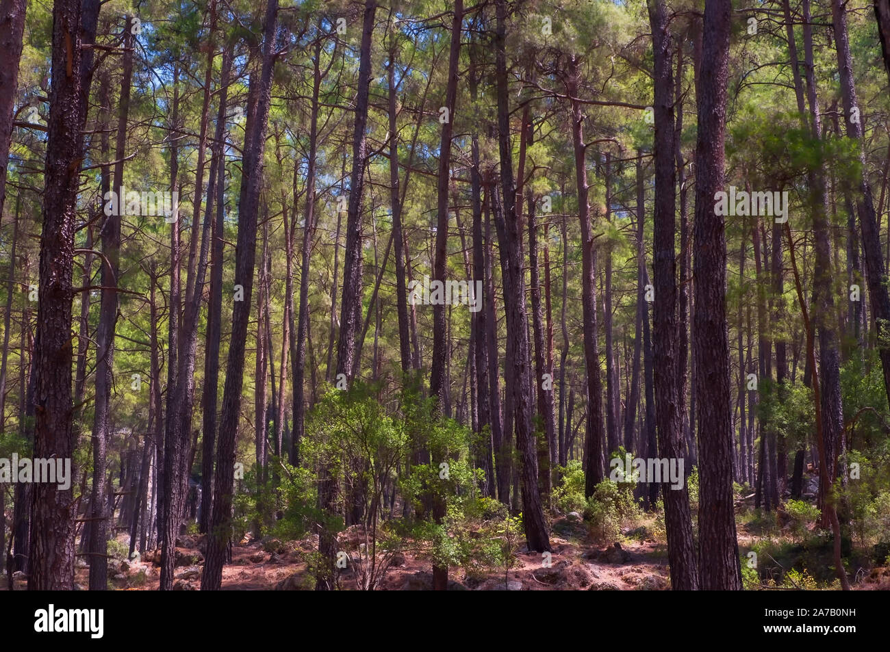 Yazili hi-res stock photography and images - Alamy