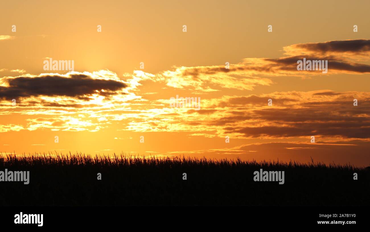Orange and gold sunset Stock Photo - Alamy