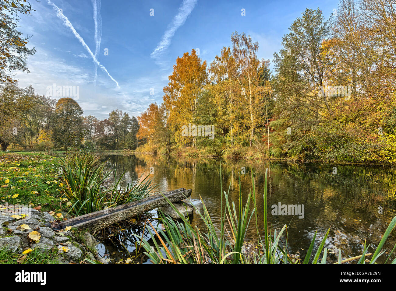autumn at the pond Stock Photo - Alamy