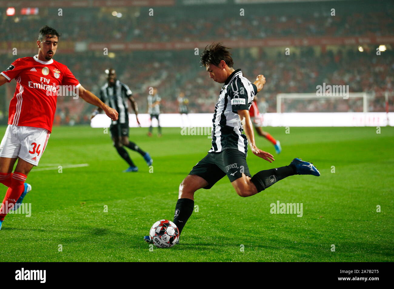 Koki do koki da hi-res stock photography and images - Alamy