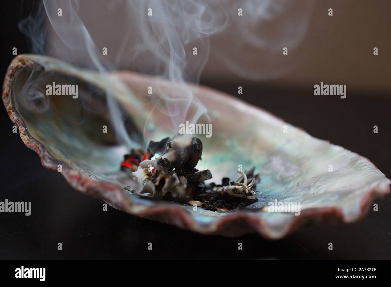 Abalone Shell High Resolution Stock Photography and Images - Alamy