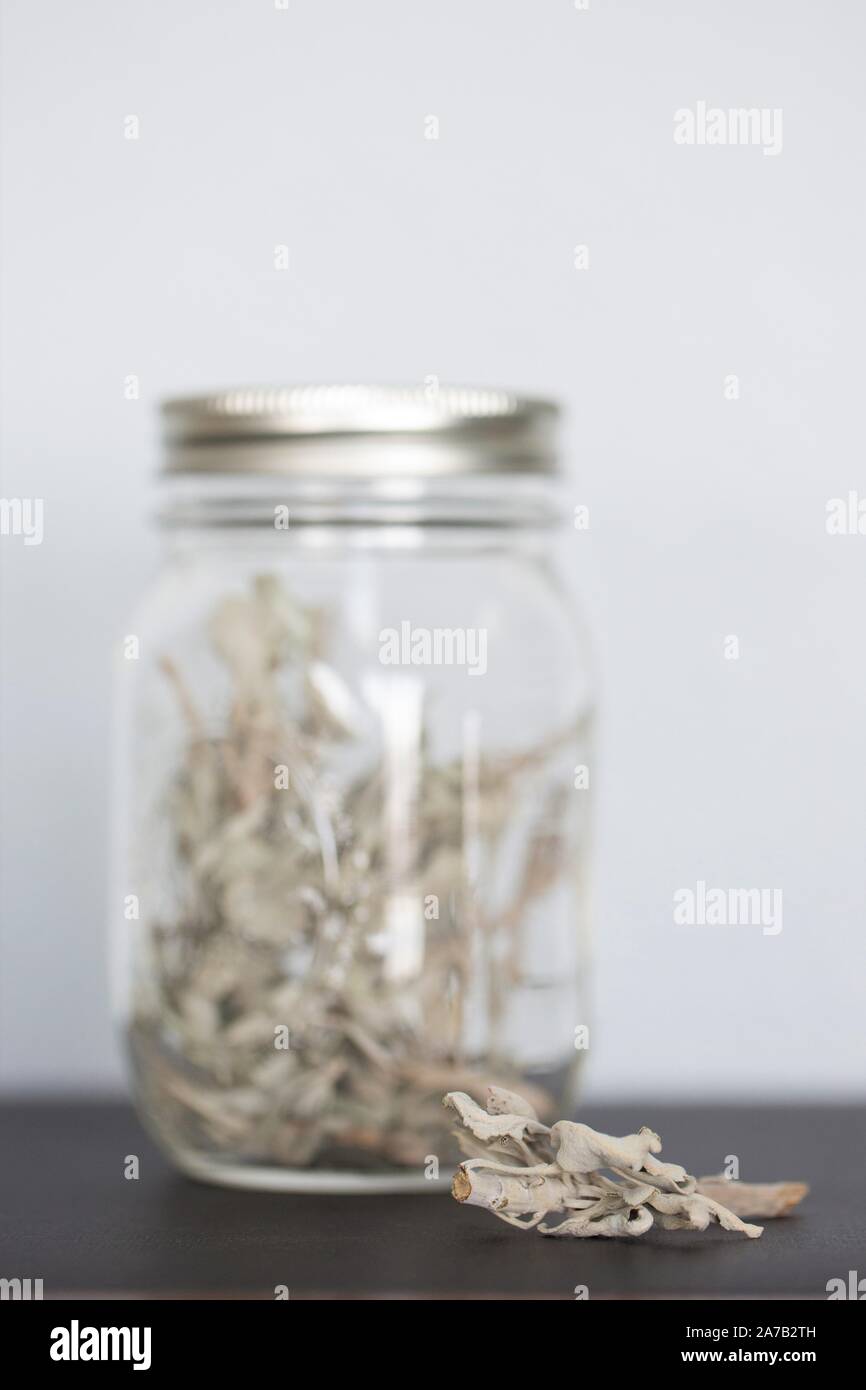 A mason jar of white ceremonial sage Stock Photo - Alamy