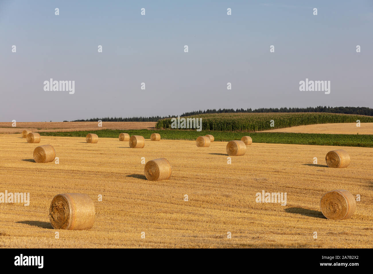 Round bales harvested on this ranch hi-res stock photography and images ...
