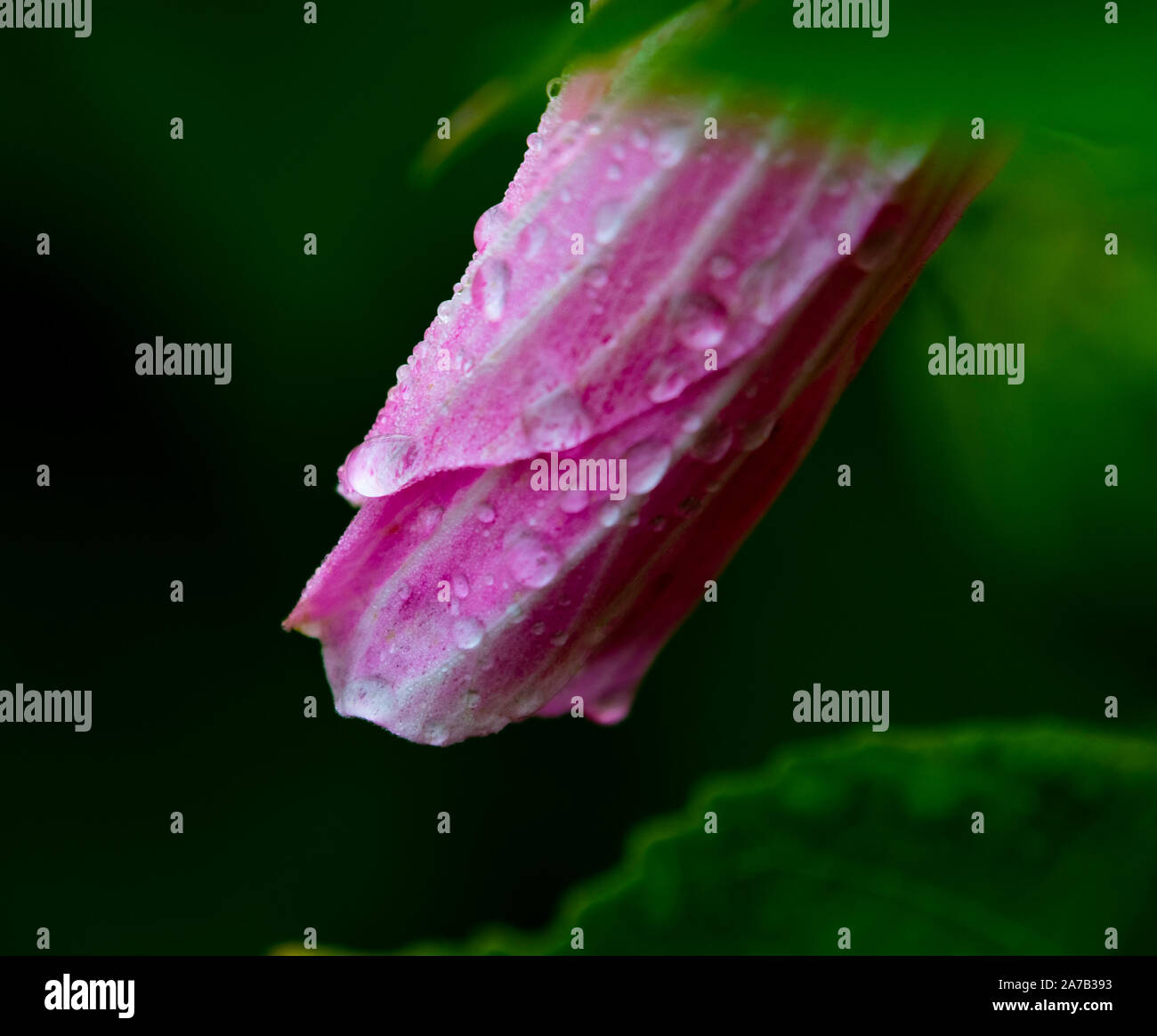 In Jew Jersey, Down in the Meadowland, across the Hudson River from NYC ...