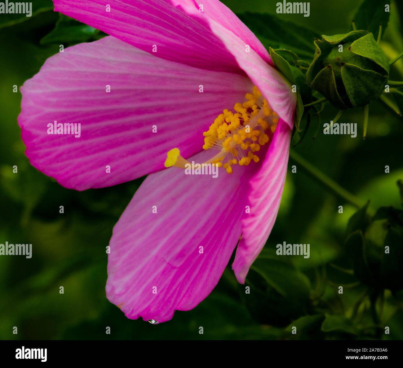 In Jew Jersey, Down in the Meadowland, across the Hudson River from NYC ...