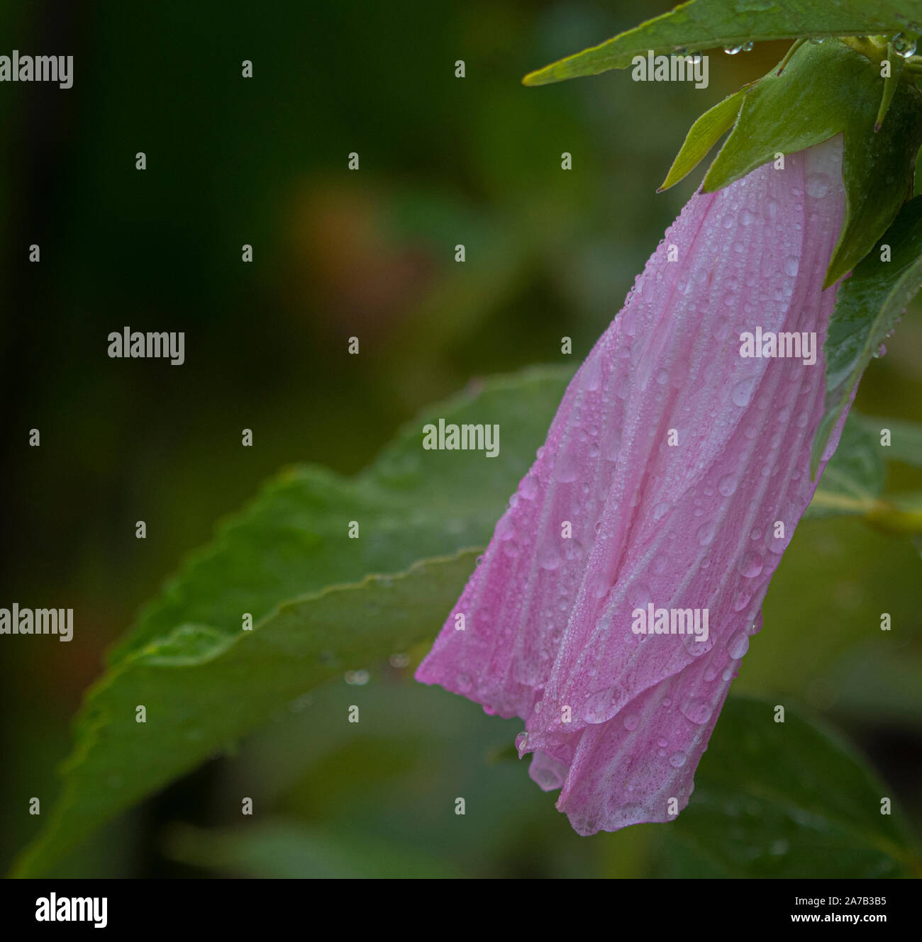 In Jew Jersey, Down in the Meadowland, across the Hudson River from NYC ...