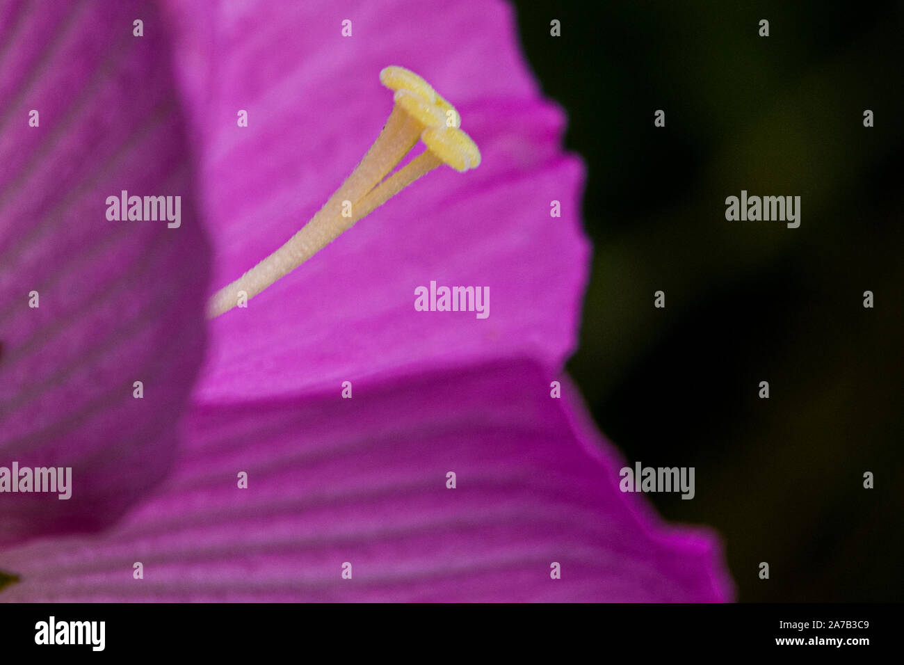 In Jew Jersey, Down in the Meadowland, across the Hudson River from NYC ...