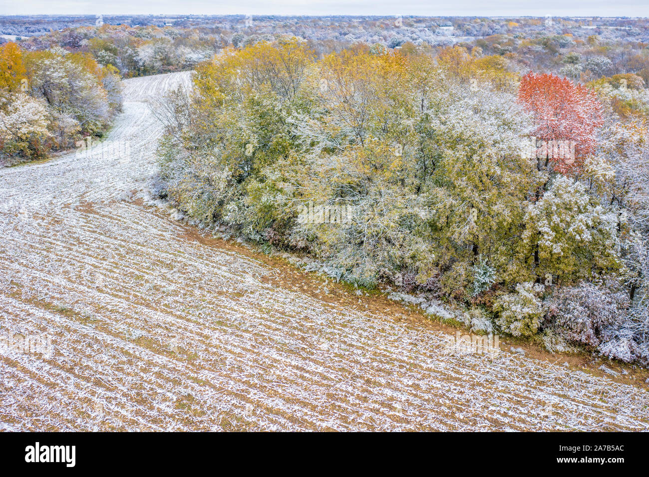 Forest and harvested corn field dusted by early snow, aerial view of ...