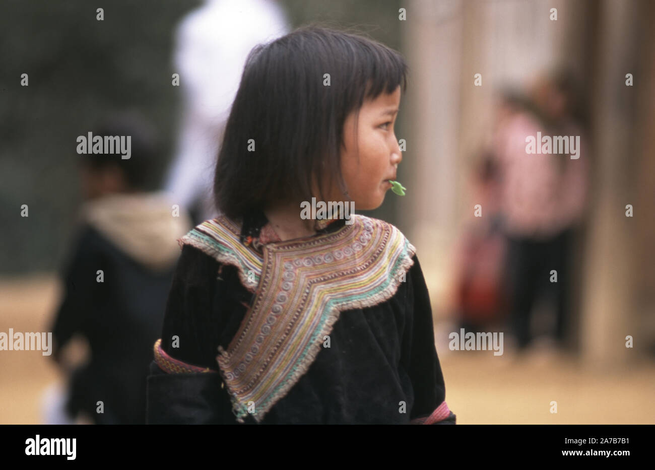 An indigenous Hmong school girl plays a tune using a leaf as a musical ...