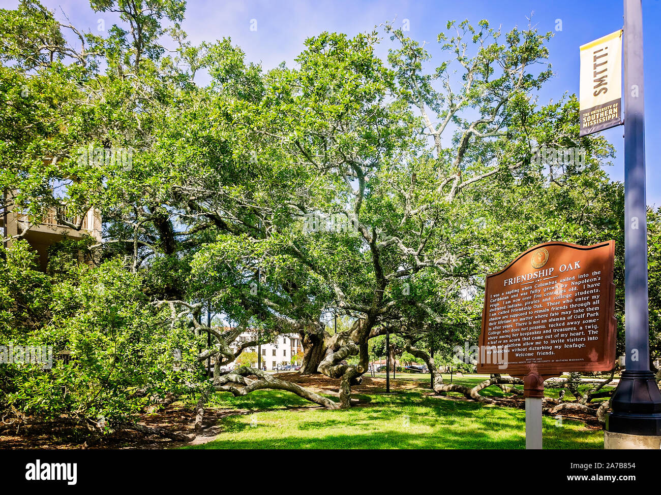 A sign tells the legend of the 500-year-old Friendship Oak, Oct. 22 ...