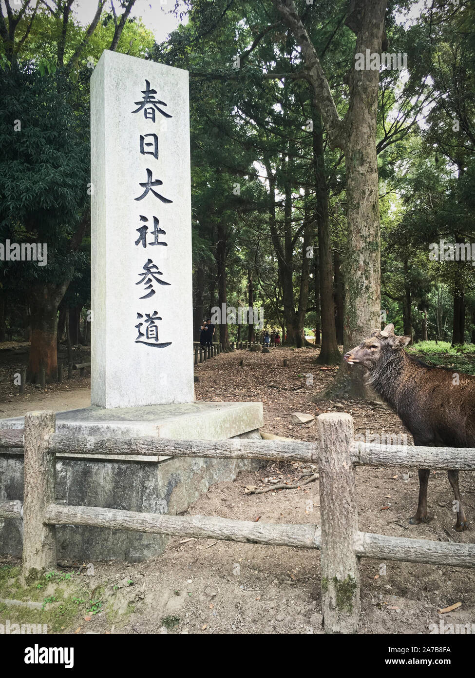 A wild ska deer in Nara park in front of a tall stone sign Stock Photo ...