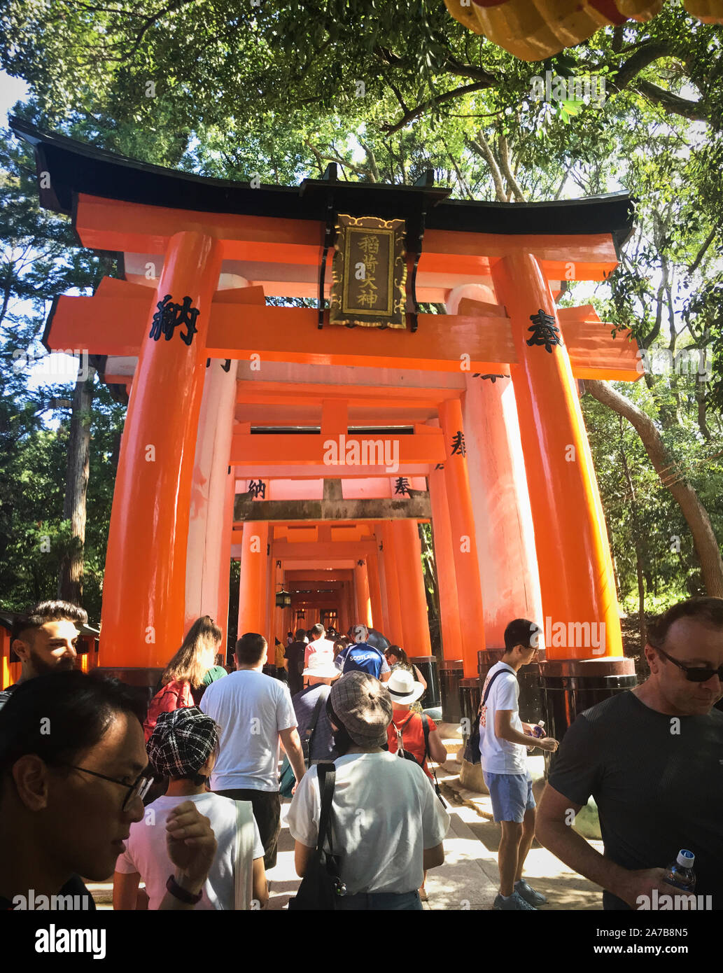 The torii gates of Fushimi Inari Taisha, Japan. Fushimi Inari-taisha ...
