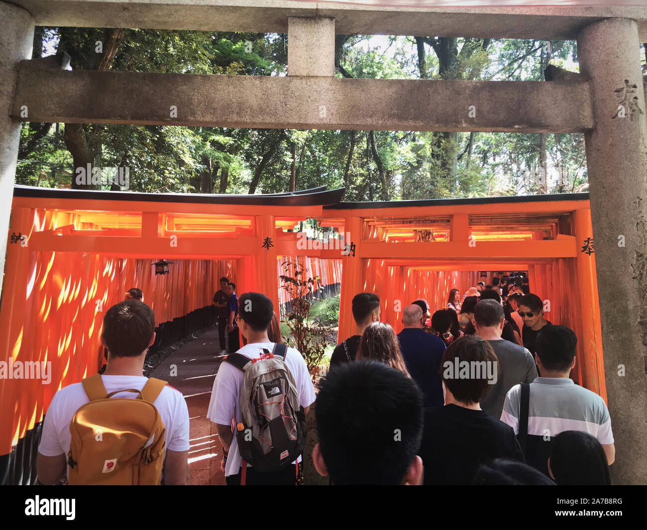 The torii gates of Fushimi Inari Taisha, Japan. Fushimi Inari-taisha ...