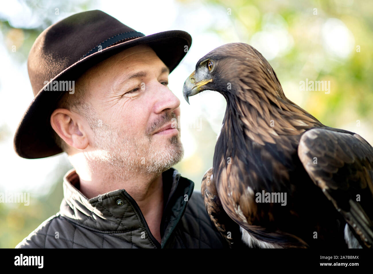 Andre falcon hi-res stock photography and images - Alamy