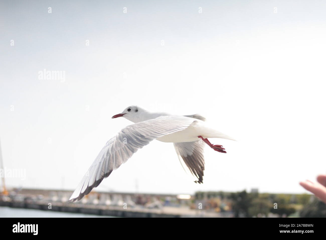 Hatsushima japan hi-res stock photography and images - Alamy