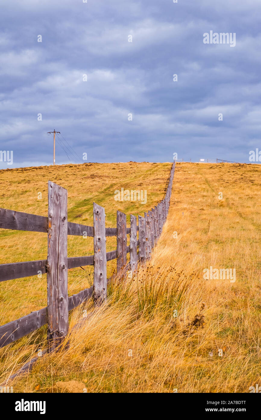 Mountains in the fall season, Paltinis area, Sibiu county, Romania ...