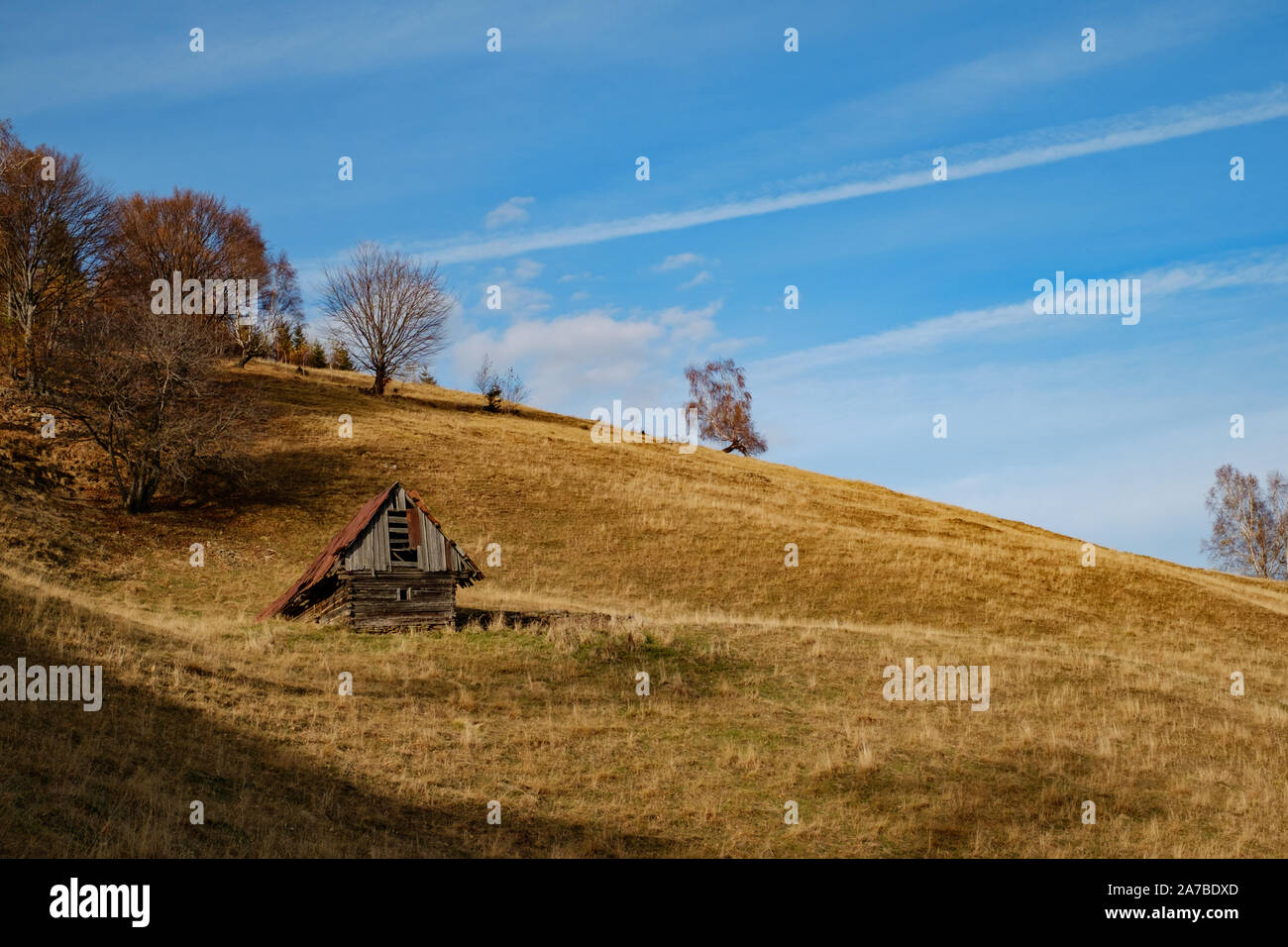 Mountains in the fall season, Paltinis area, Sibiu county, Romania ...