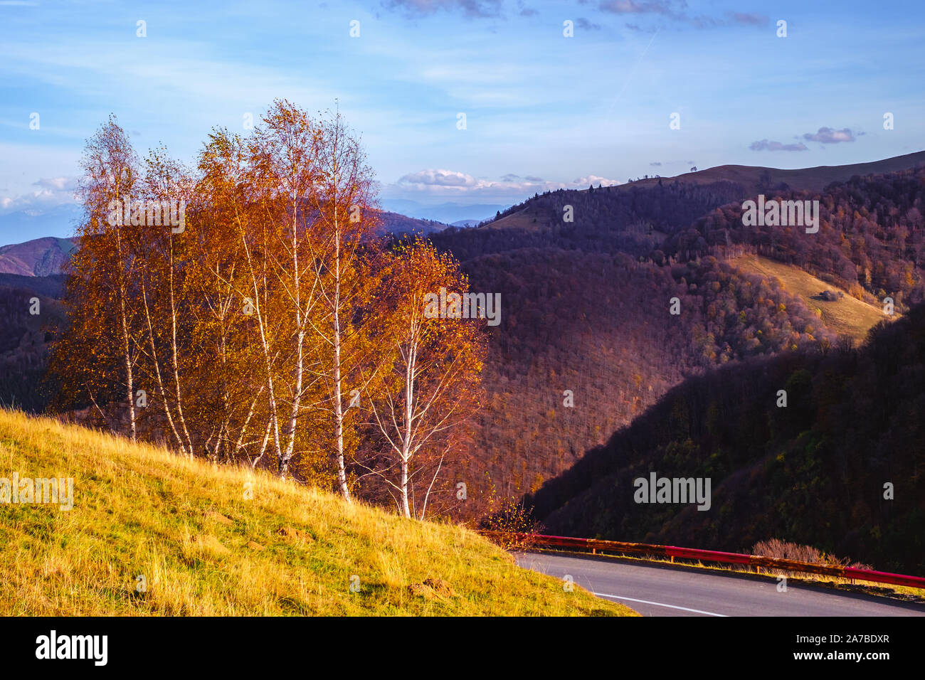 Mountains in the fall season, Paltinis area, Sibiu county, Romania ...