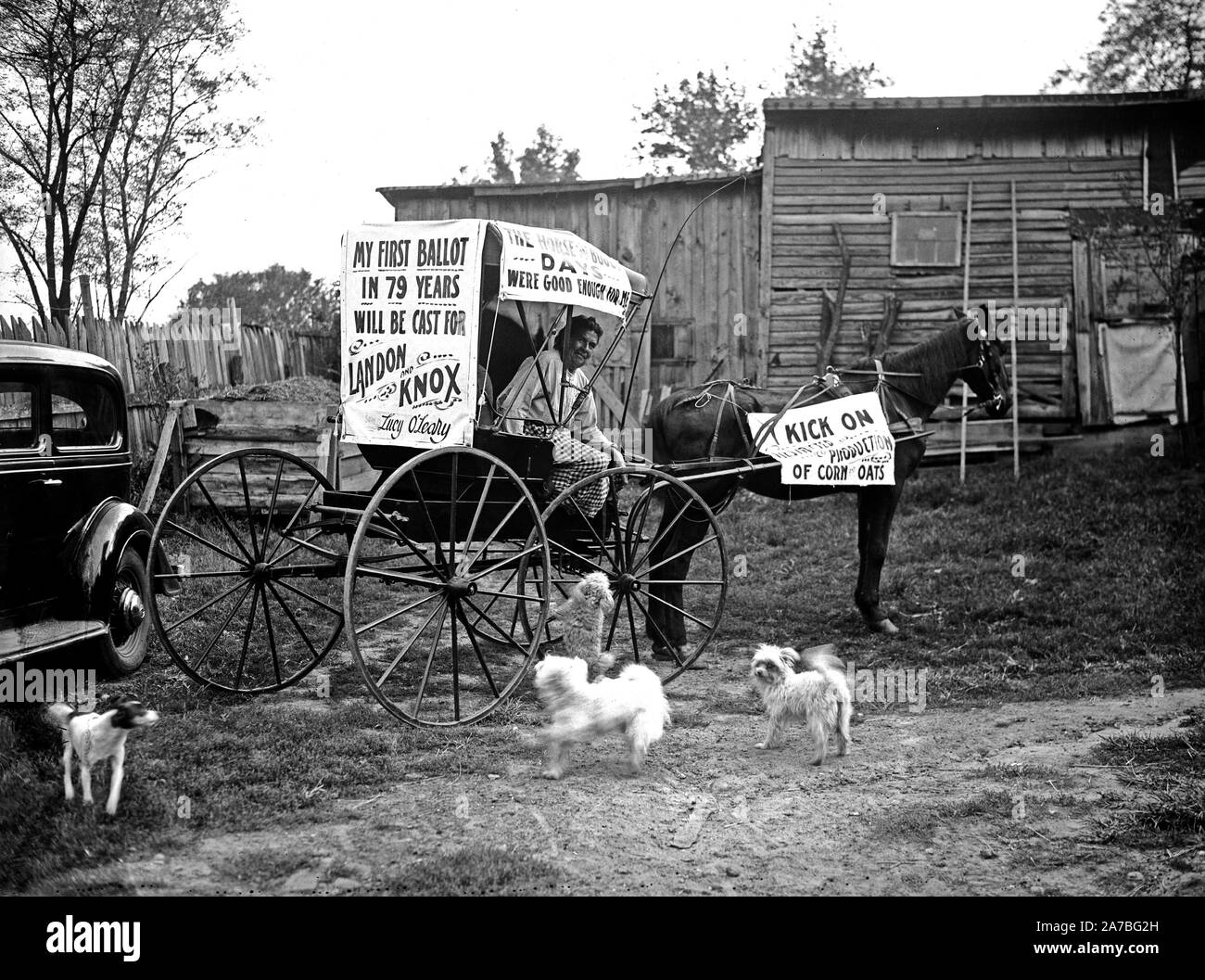 Mrs. Lucy O'Leary will cast her first vote ever on November 3 at age 79 ...