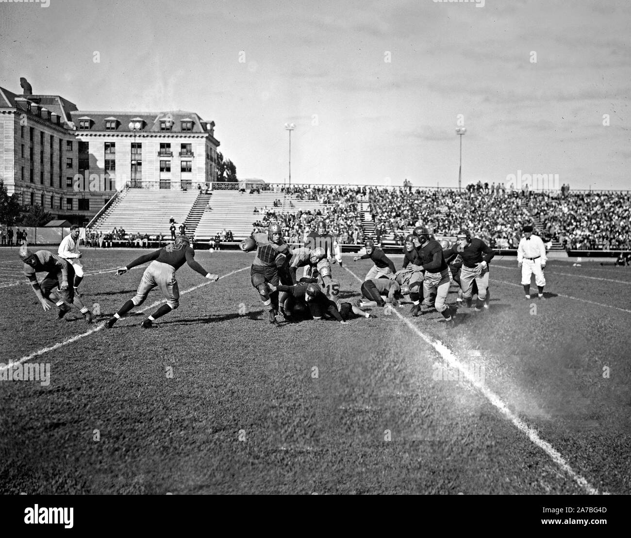 Trouncing hi-res stock photography and images - Alamy