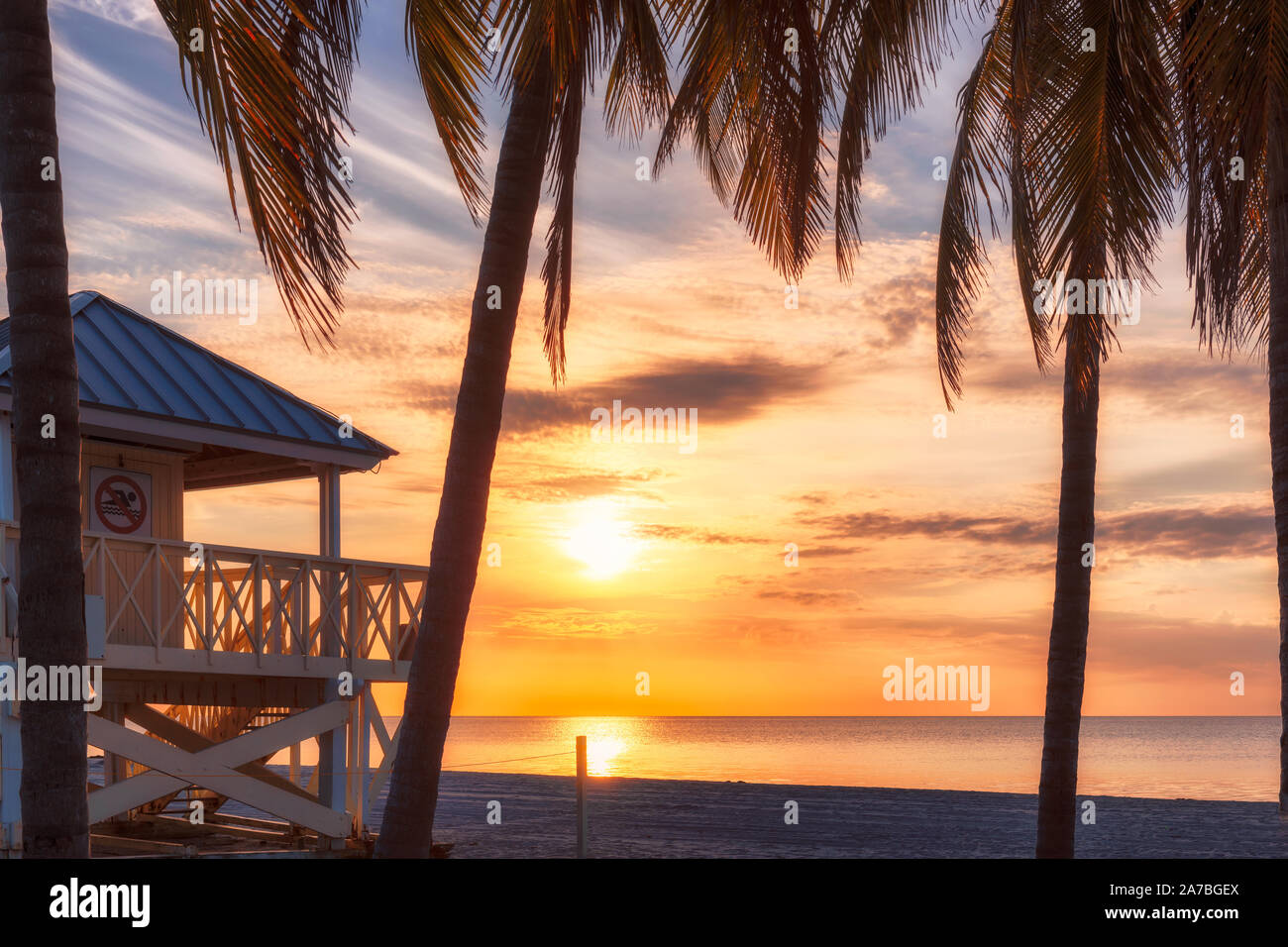 Silhouettes of palm trees on tropical beach at sunrise Stock Photo - Alamy