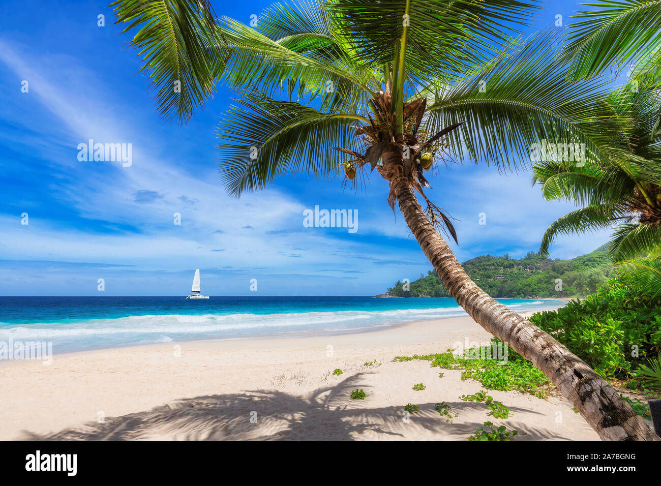 Exotic tropical beach Stock Photo - Alamy