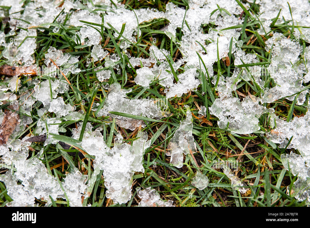 Melting snow on green grass. Autumn, winter or spring background ...