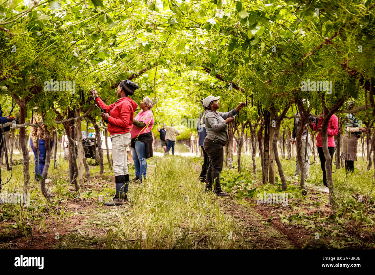 African workers employees hi-res stock photography and images - Alamy