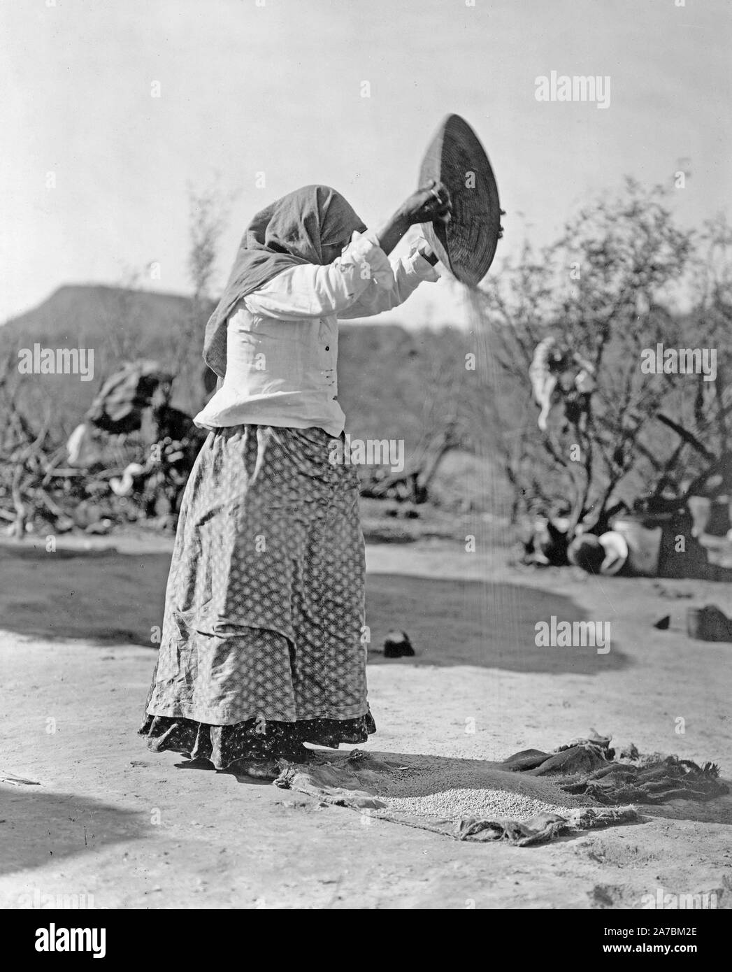 Woman winnowing wheat Black and White Stock Photos & Images - Alamy