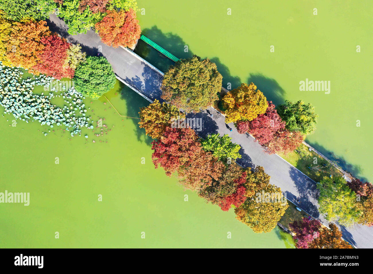 Jiangsu, Jiangsu, China. 31st Oct, 2019. Jiangsu, CHINA-Xuanwu lake in ...