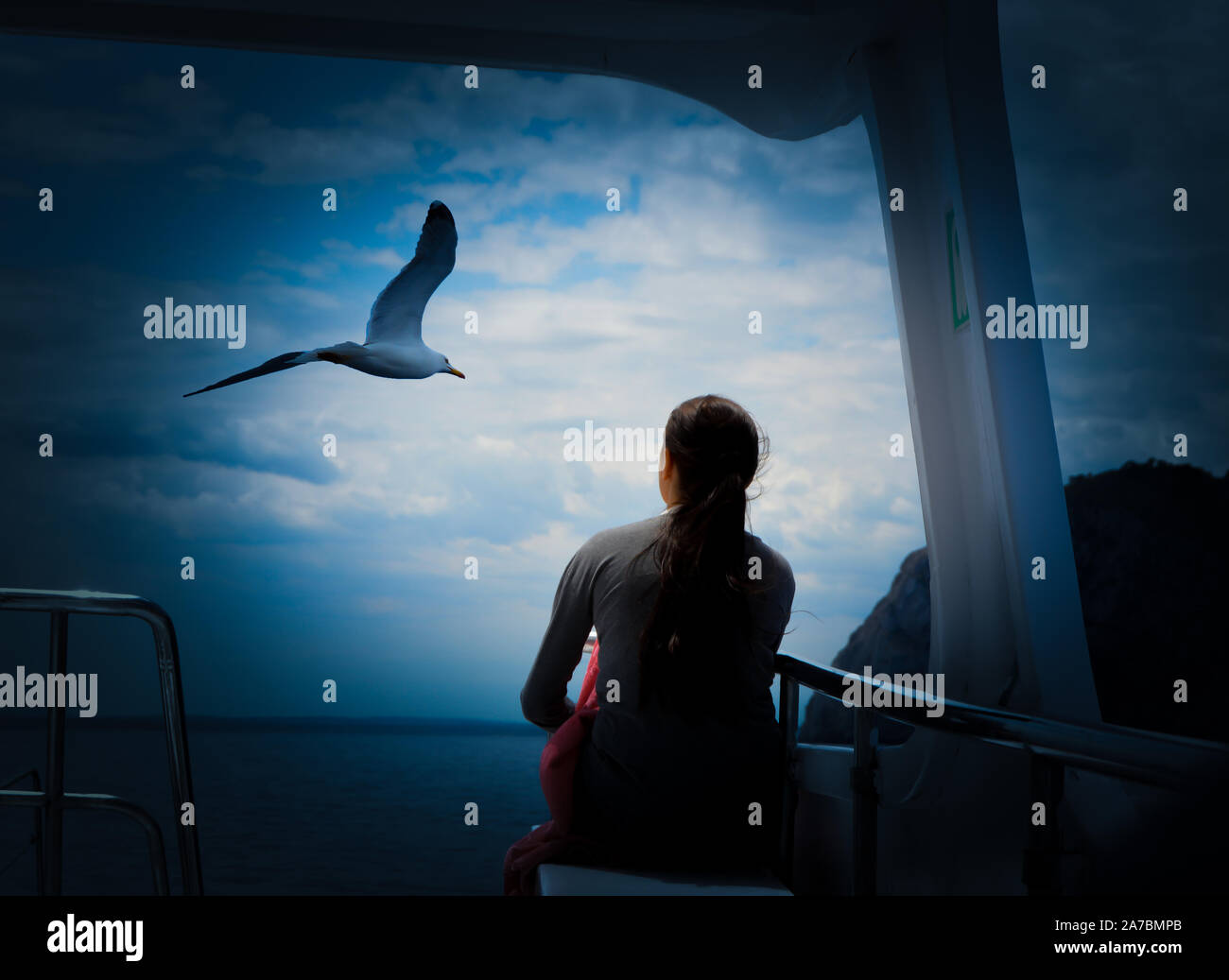 Birds in the beach of Playa De Mallorca, Spain Stock Photo - Alamy