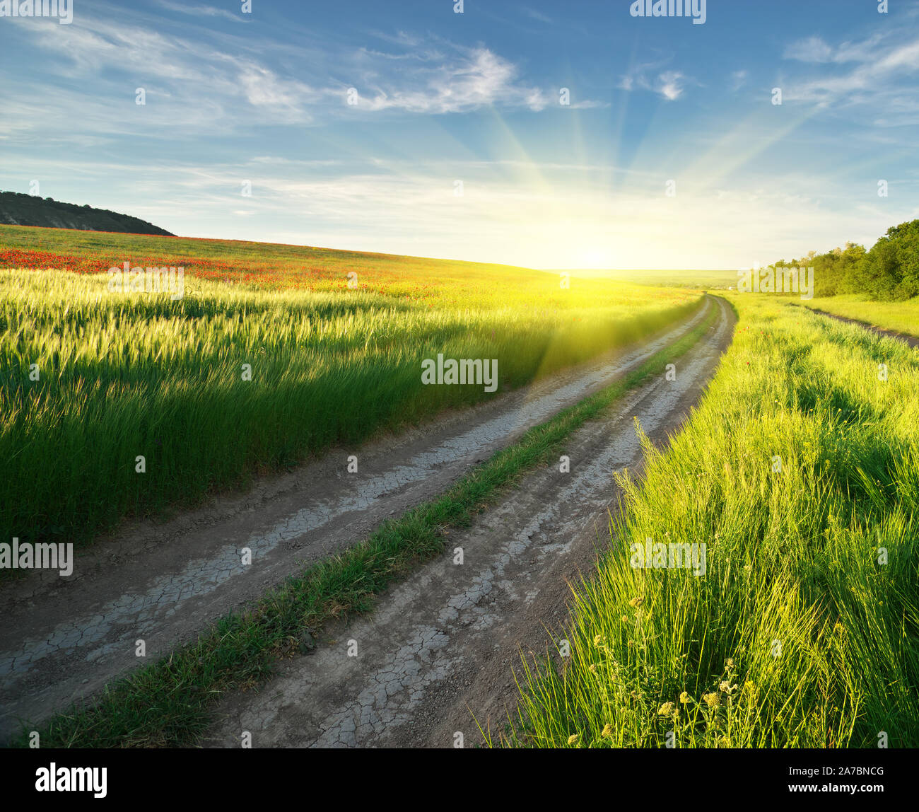 Road lane and deep blue sky. Nature design Stock Photo - Alamy