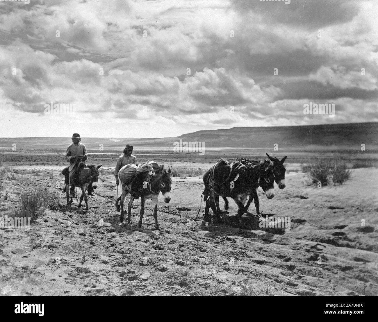 Edward S. Curtis Native American Indians - Burros and Moki (Hopi ...