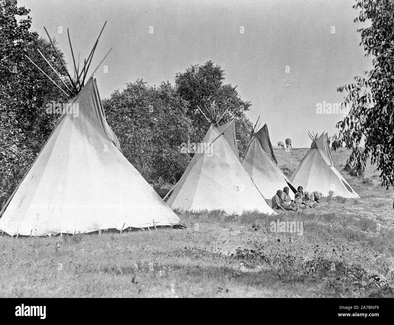 Assiniboine camp hi-res stock photography and images - Alamy