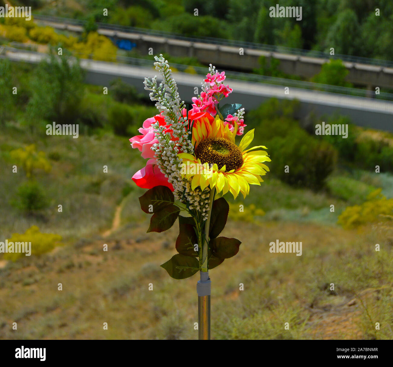 flower bouquet in nature Stock Photo - Alamy