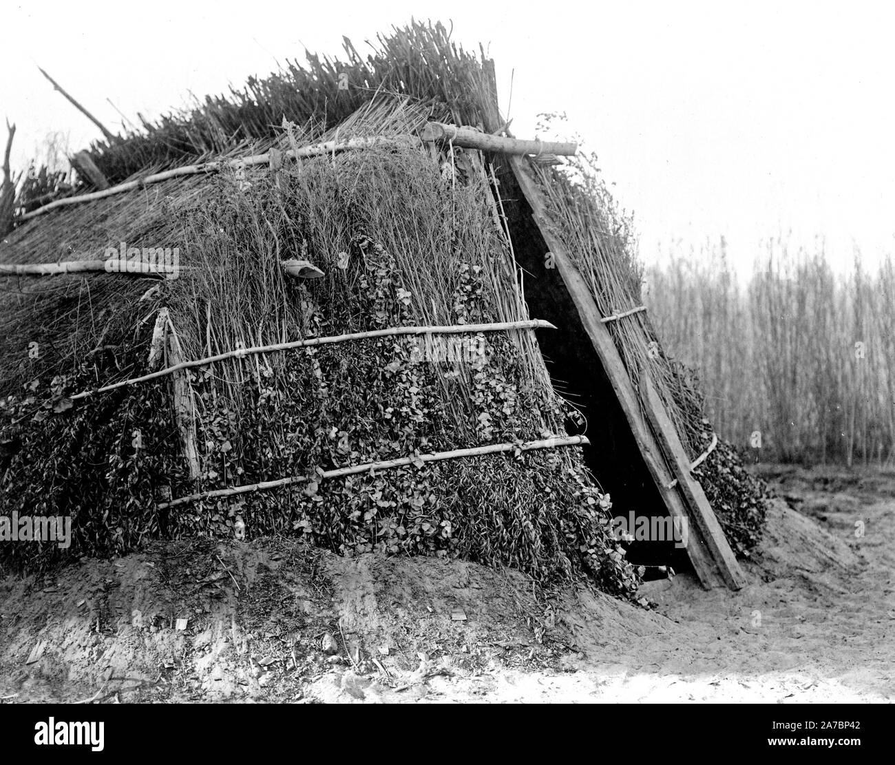 Cheyenne Indian Tribe Homes