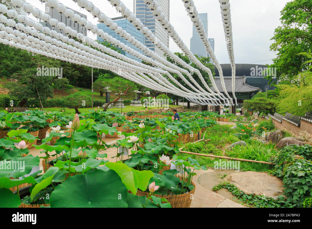 Korea summer temple hi-res stock photography and images - Alamy