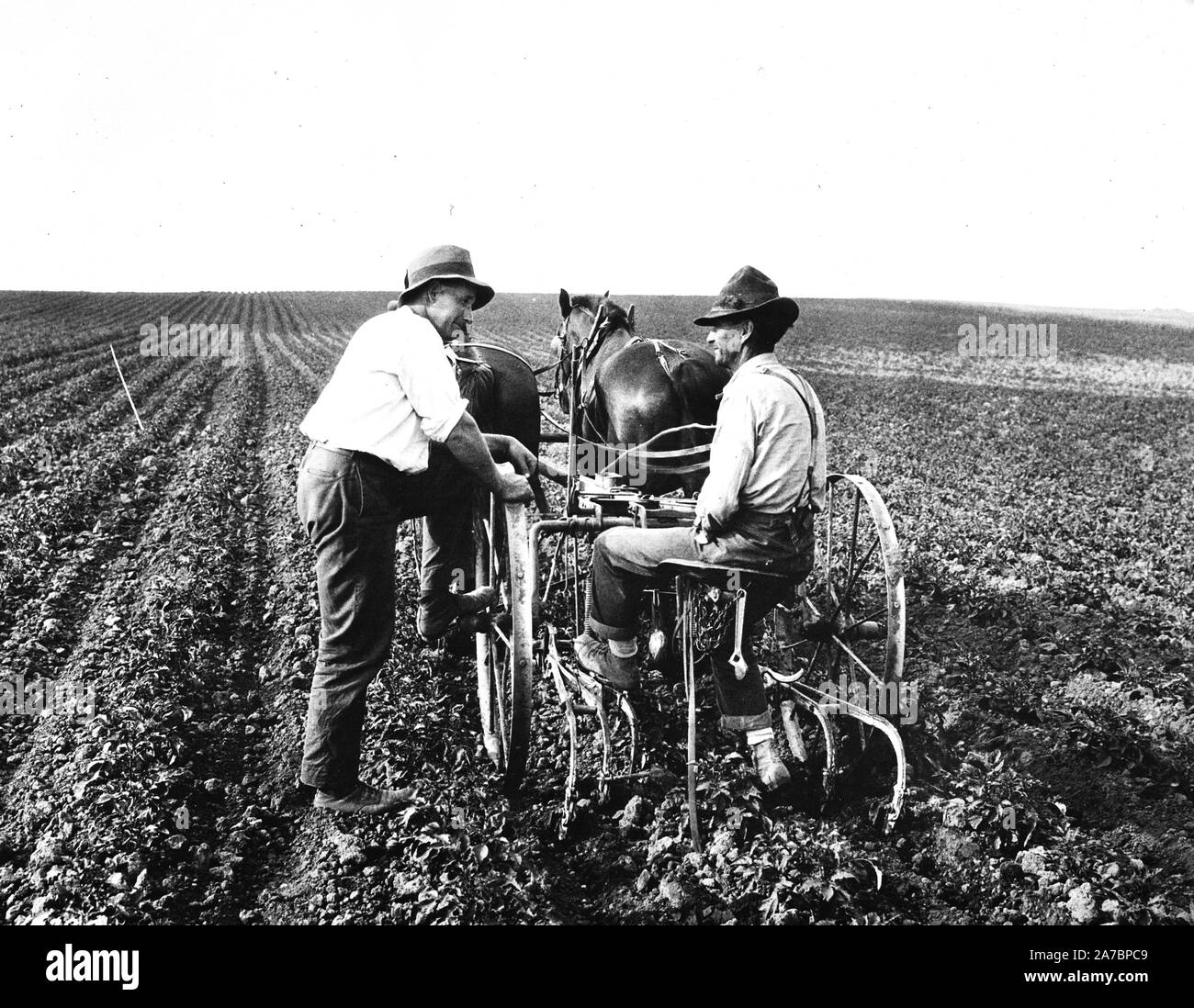 Taking a photo photos Black and White Stock Photos & Images - Alamy