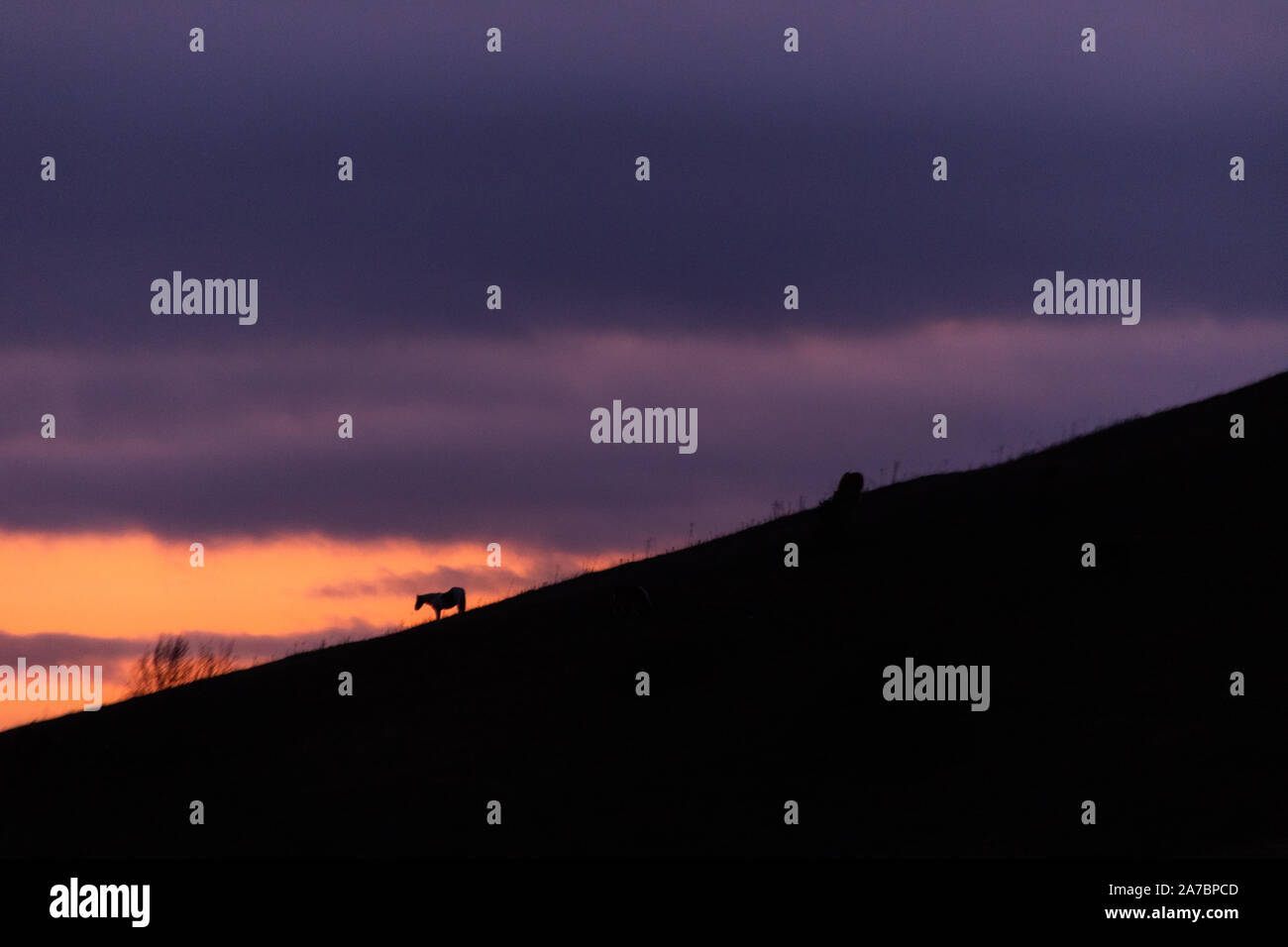 Distant horses silhouettes over a mountains against a beautiful ...