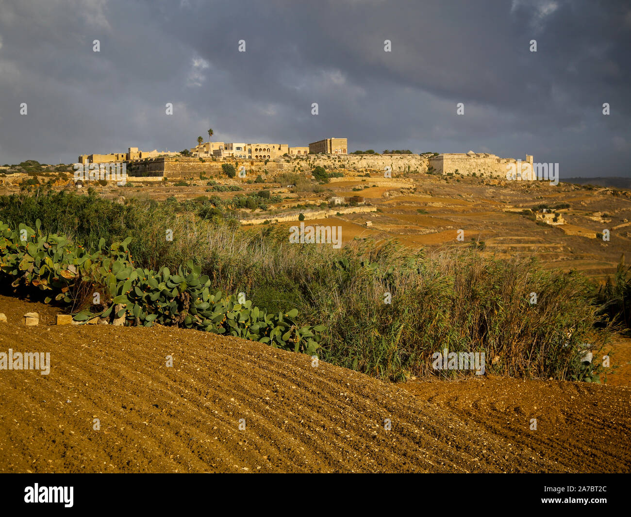 Chambray hi-res stock photography and images - Alamy