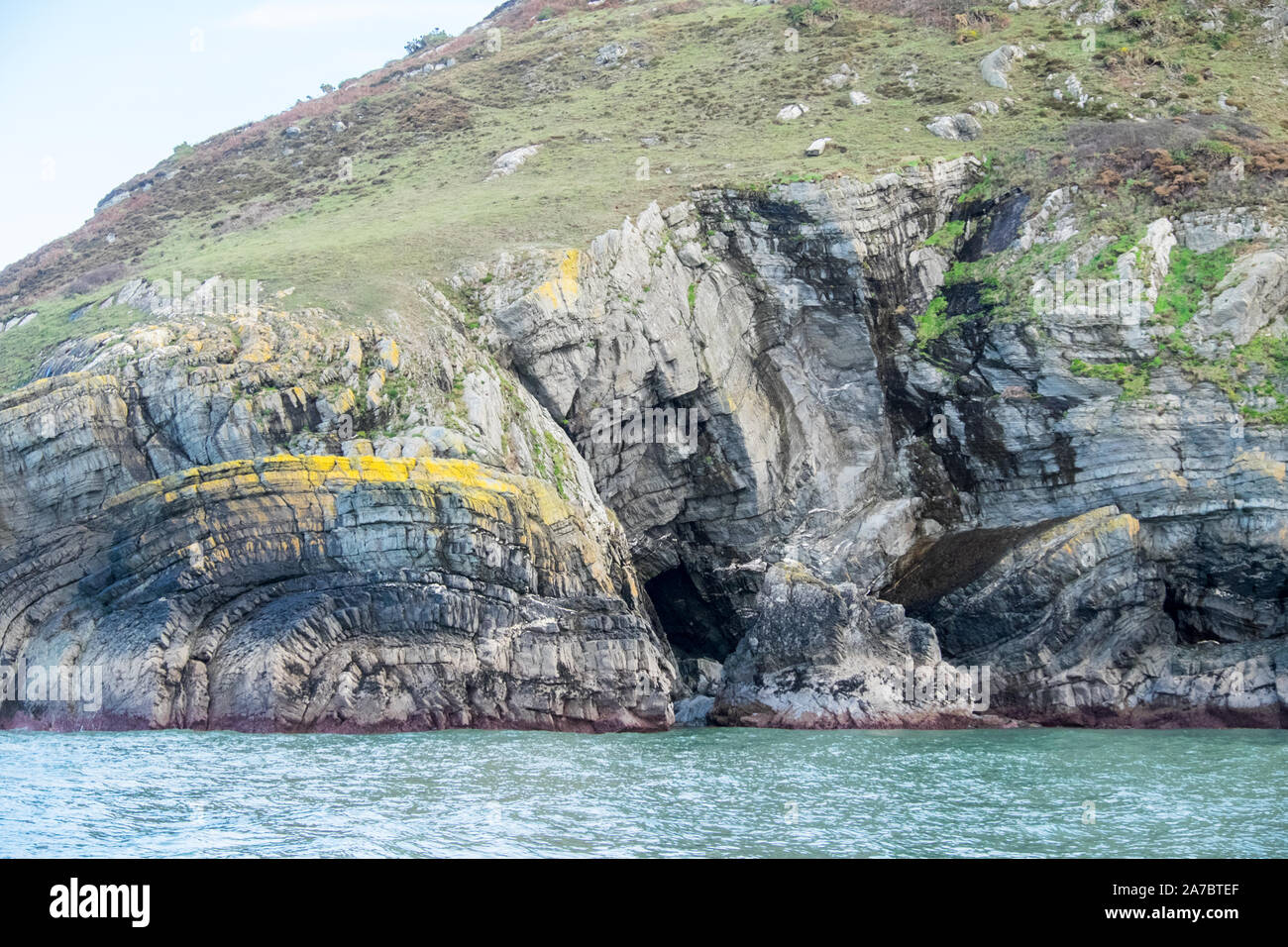 Dolphin boat trip cardigan bay hi-res stock photography and images - Alamy