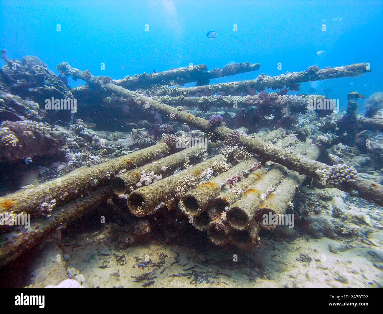 Cargo from the wreck of the Yolanda at the tip of the Sinai Peninsula ...