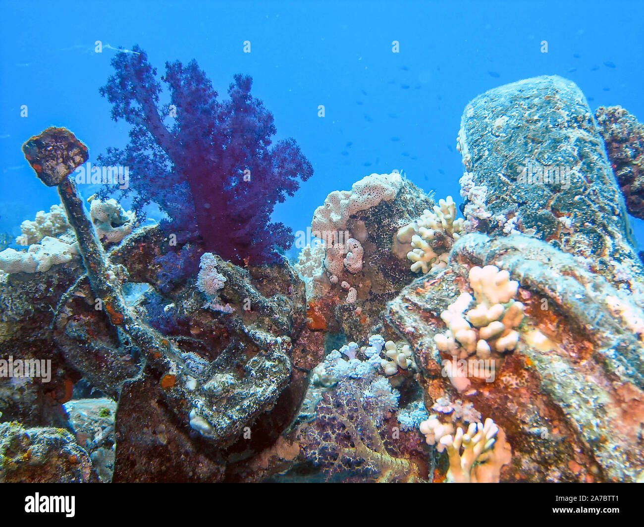Cargo from the wreck of the Yolanda at the tip of the Sinai Peninsula ...