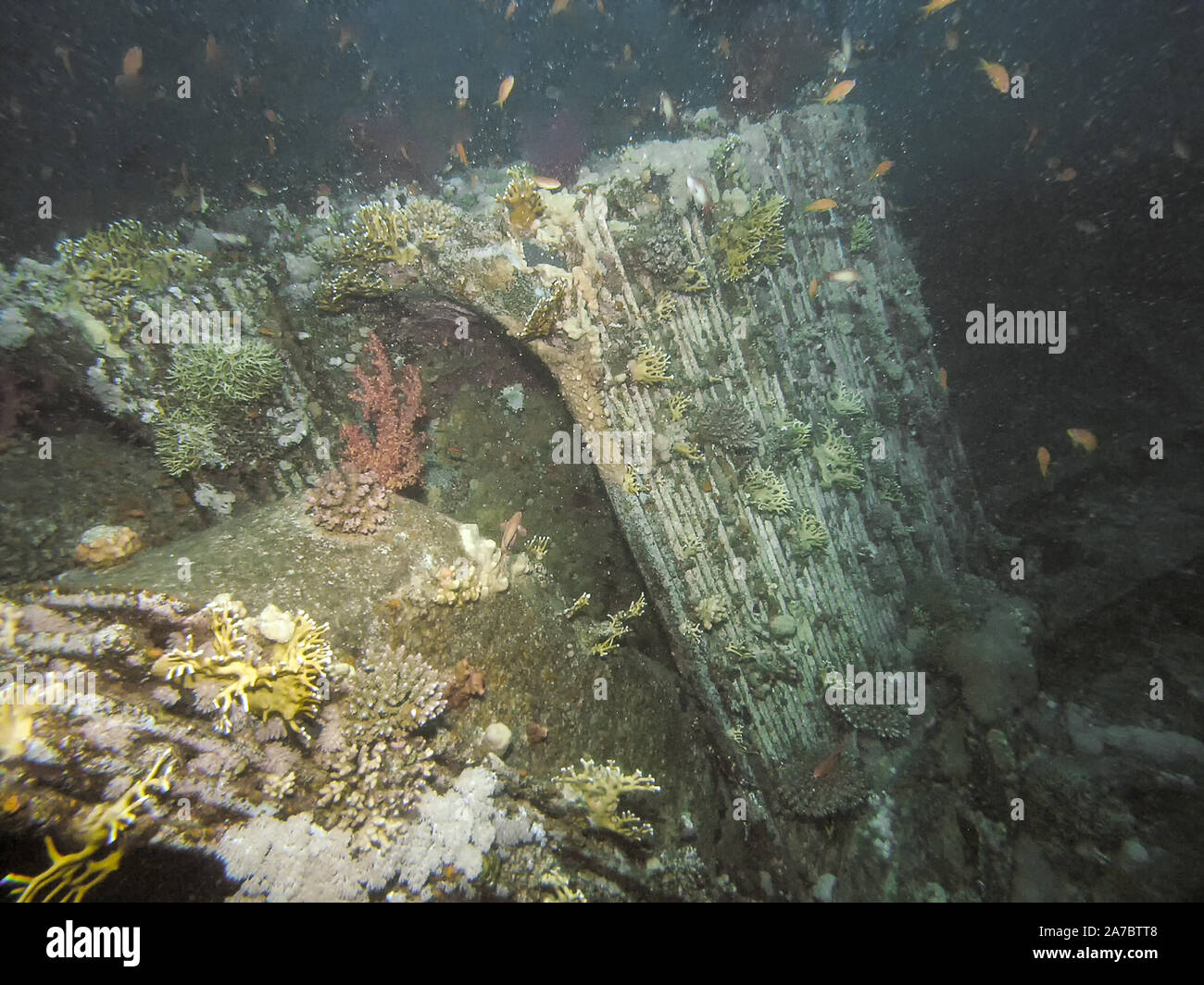 Cargo from the wreck of the Yolanda at the tip of the Sinai Peninsula ...