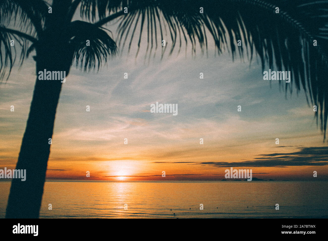 Beautiful sunset behind palm hi-res stock photography and images - Alamy