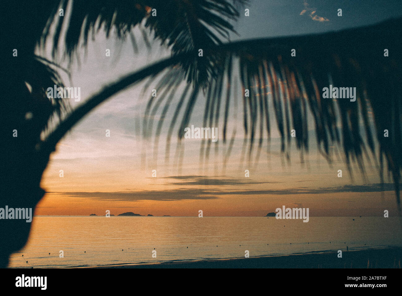 A sunset behind palm trees at the sea Stock Photo - Alamy