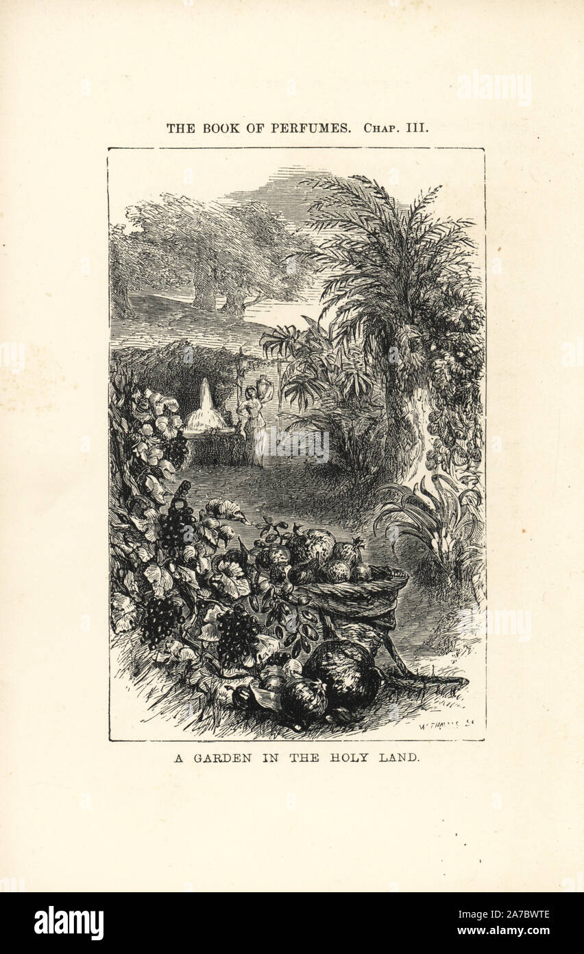 A garden in the holy land. Woodcut engraving by W. Thomas from Eugene ...