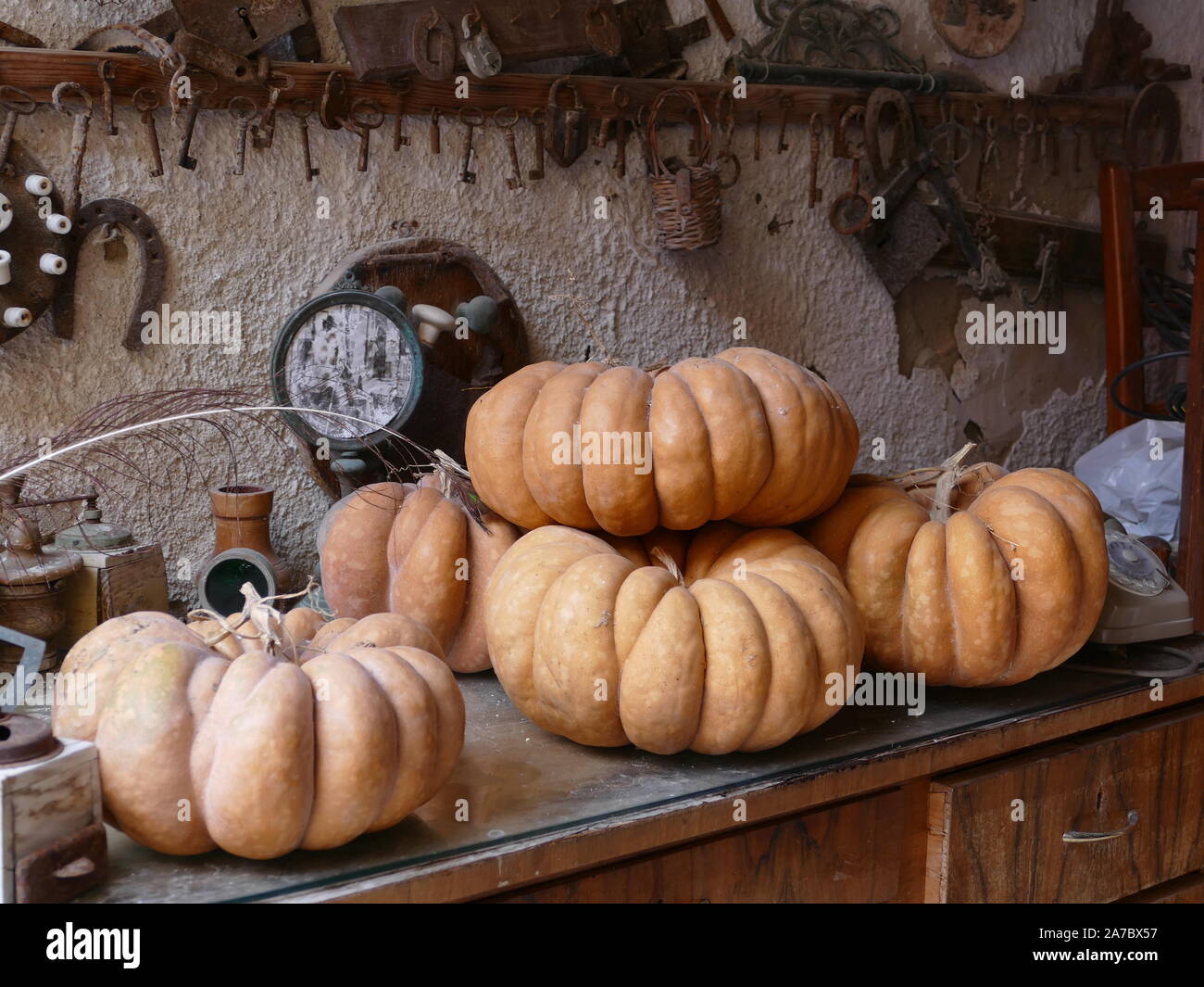 Cinderella Pumpkins High Resolution Stock Photography and Images - Alamy
