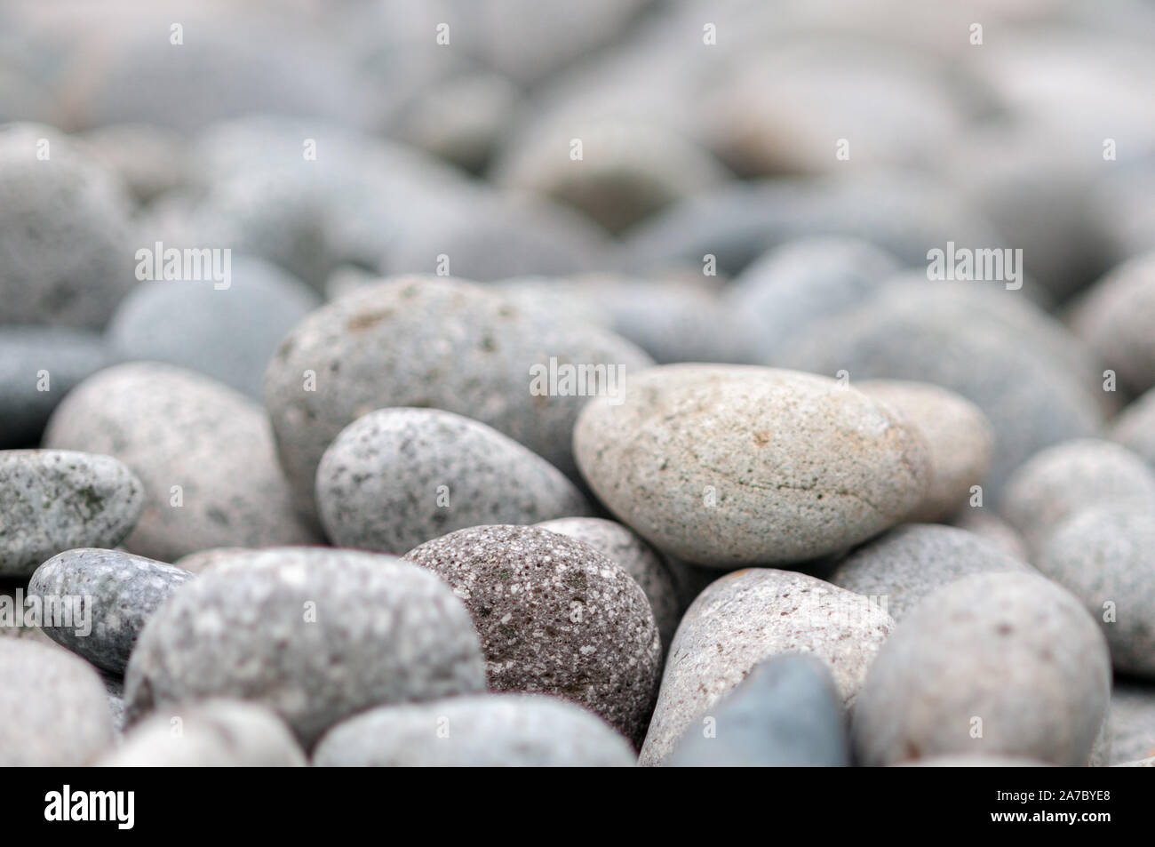 Pebbles rounded edge close up shallow depth of field outdoor Stock ...