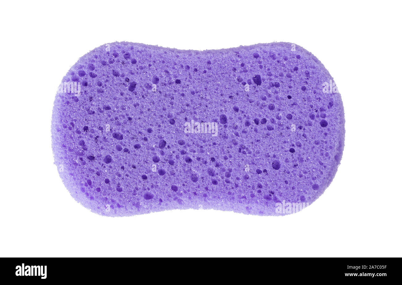 Sponge isolated, used for cleaning, filled with air bubbles Stock Photo ...